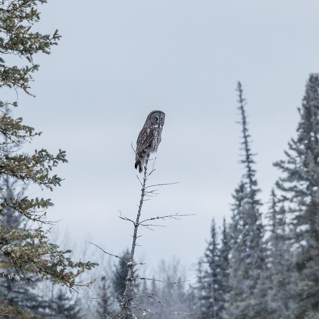 Lone Butte BC | Explore Fishing Highway 24
