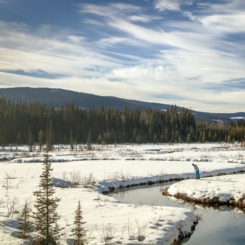Wells BC | Visit the Gold Rush Trail