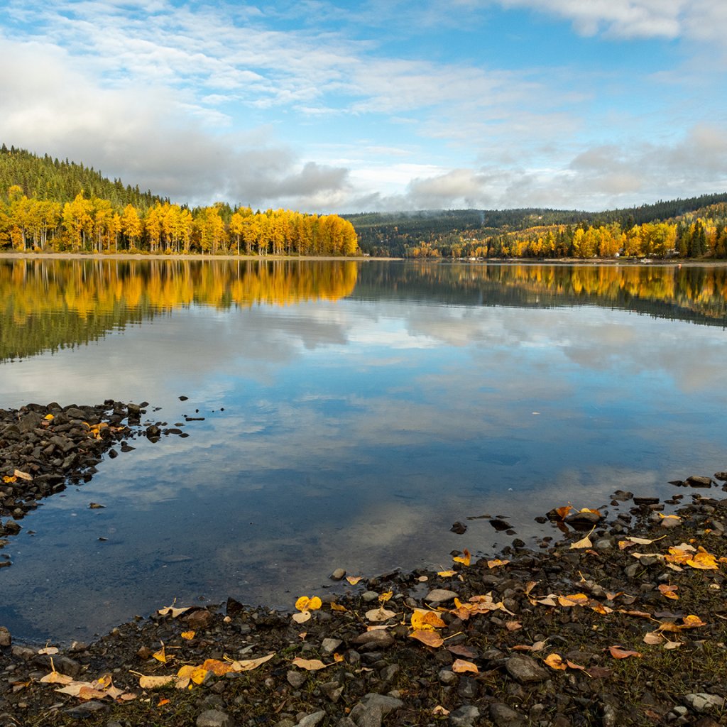 Likely BC | Cariboo Gold Rush Trail