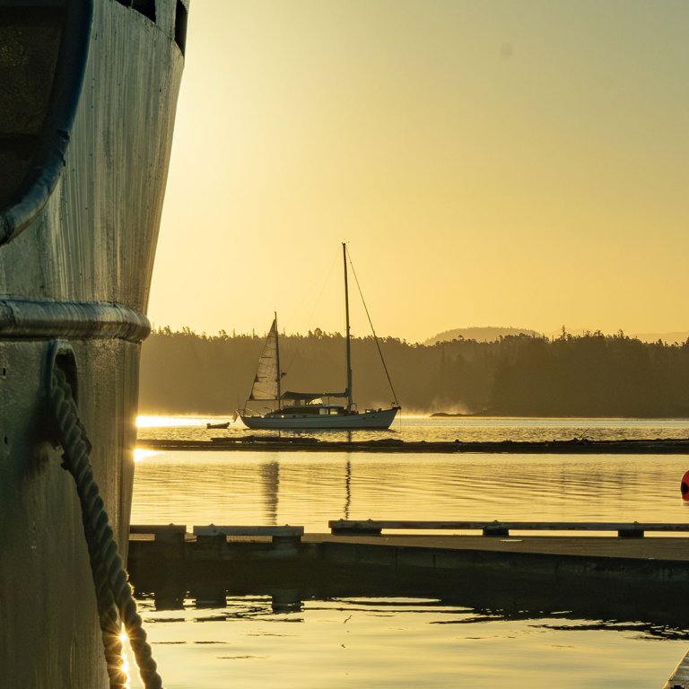 Visit Denny Island and Shearwater BC