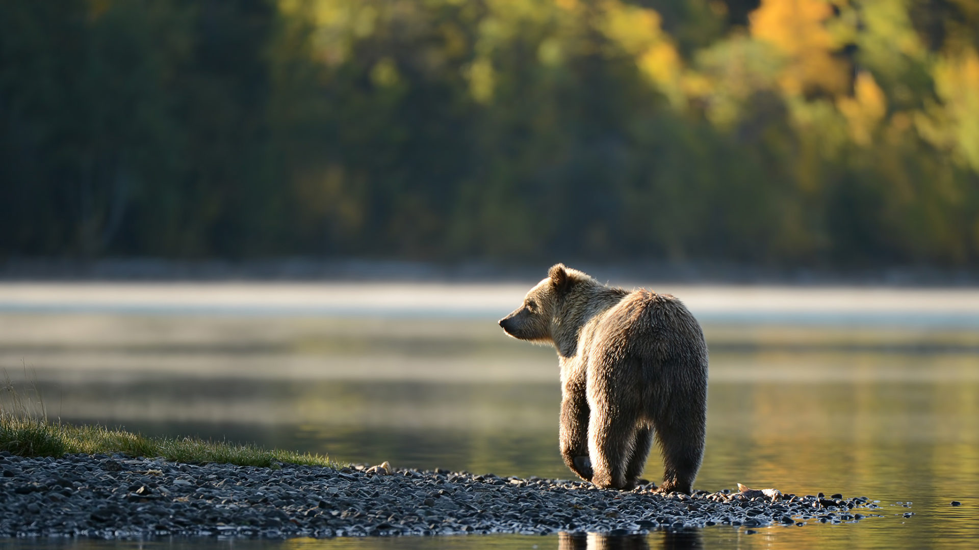 6 Best Ways to See Nature in BC | Cariboo Chilcotin Coast