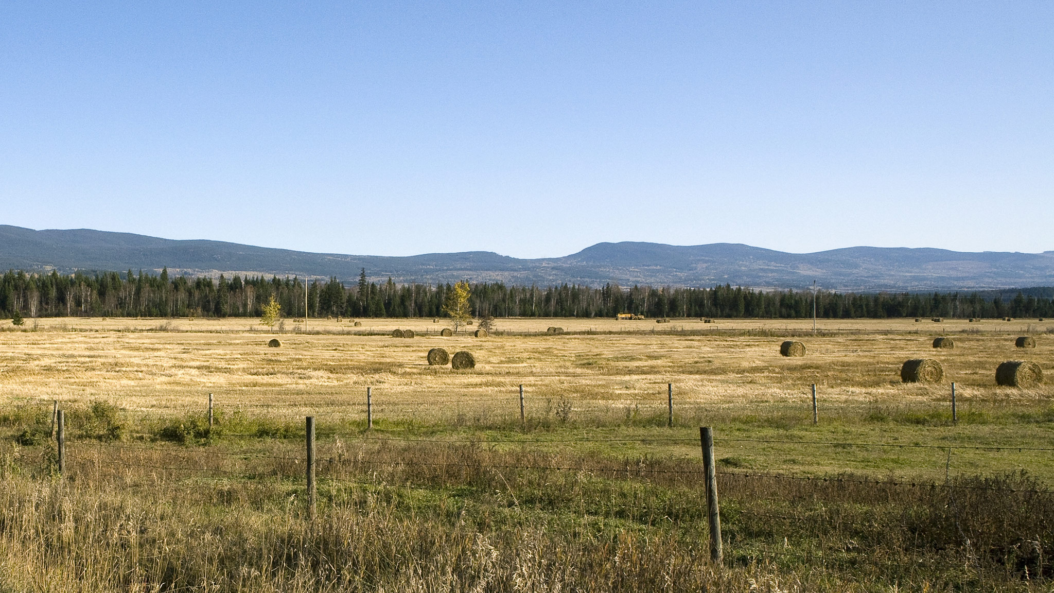 Visit Kersley BC | Travel the Cariboo Gold Rush Trail