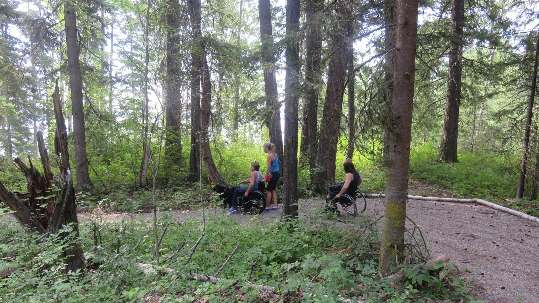 Low Mobility Accessible Trails - Land Without Limits