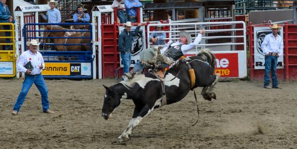 Williams Lake Stampede BC | Rodeos BC
