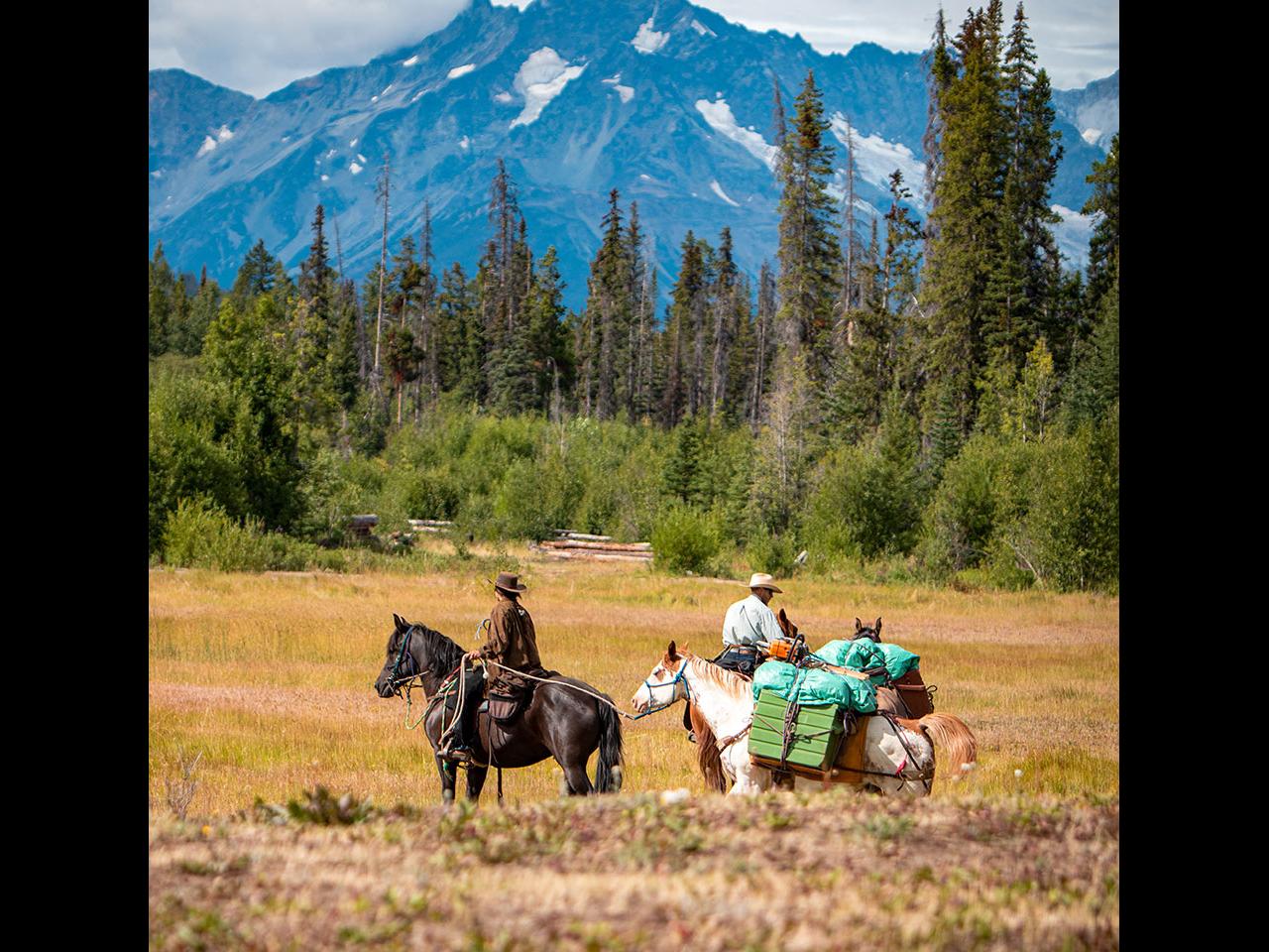 Bracewells Alpine Wilderness Adventures