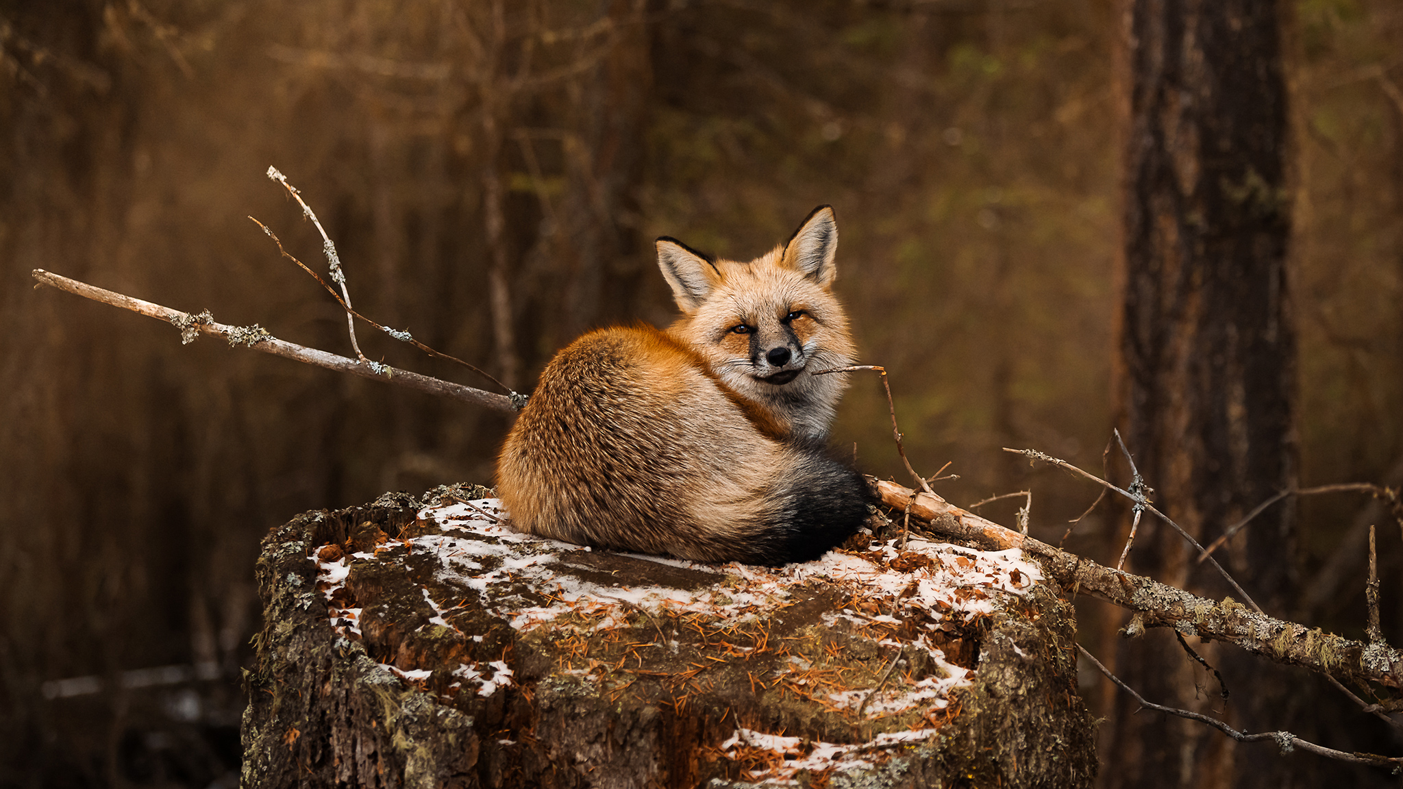Know Before you Go | Visit British Columbia's Cariboo Chilcotin Coast